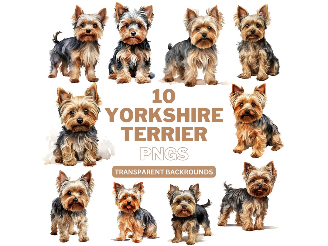 Yorkshire Terrier PNG Bundle - Dog PNG, Dog Clipart, High Quality ...