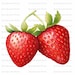 Strawberry PNG Bundle Strawberry Clipart, Summer Png, Spring Png, Fruit ...
