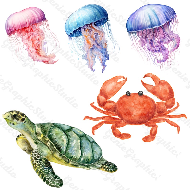 Ocean Clipart, Under the Sea Clipart, Watercolor Sea Creatures, Ocean ...
