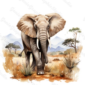 Watercolor Safari Animals Clipart: Jungle Animal PNG (digital Download ...