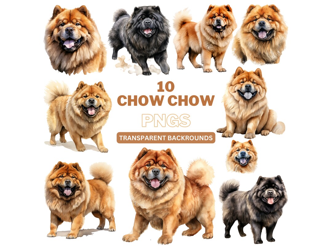Chow Chow Png, Dog Clipart, Chow Chow Vector, Printable Dog Art for Pet ...