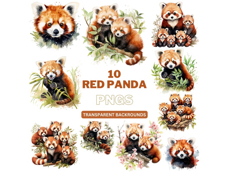 Red Panda Clipart, Watercolor Panda PNG, Animal Clipart for Commercial ...