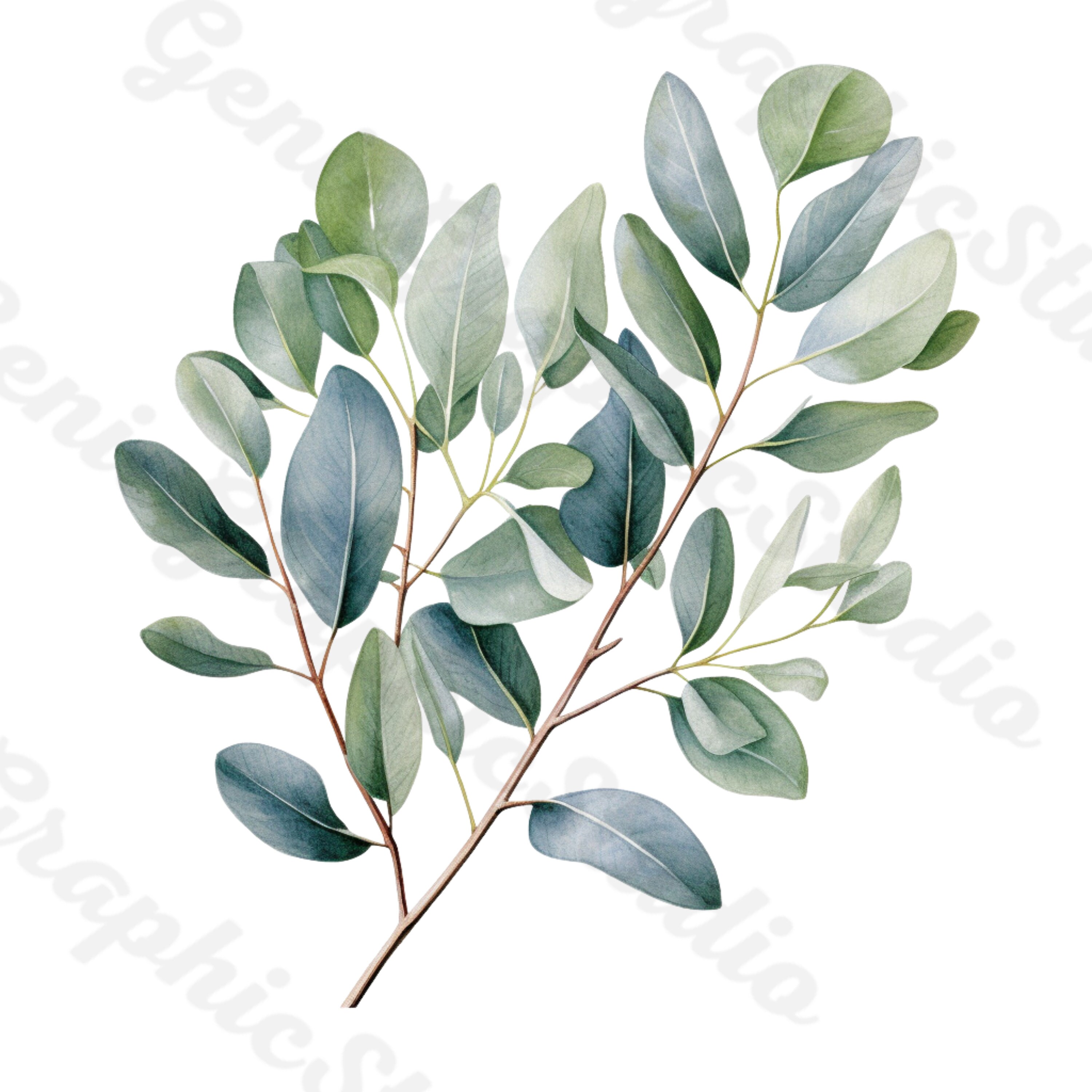 Watercolor Eucalyptus Clipart: Greenery Foliage PNG (digital Download ...