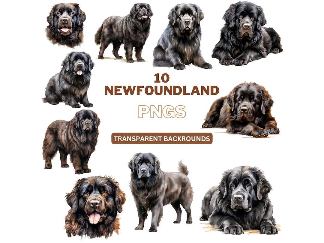 Newfoundland PNG Bundle, Dog PNG, Dog Clipart, Printable Dog Art for ...
