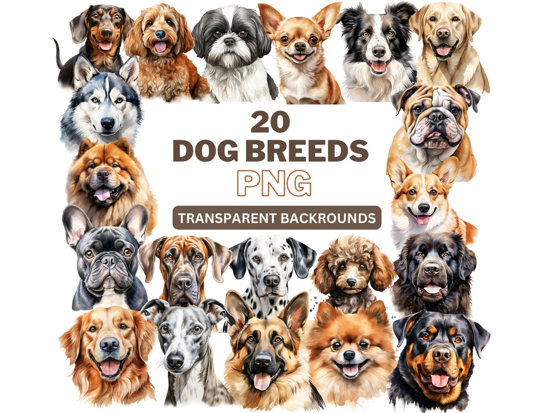Dog Clipart, Dog PNG, Dog Breed Clipart, Watercolour Dog, Animal ...