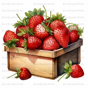 Strawberry PNG Bundle - Strawberry Clipart, Summer Png, Spring Png ...