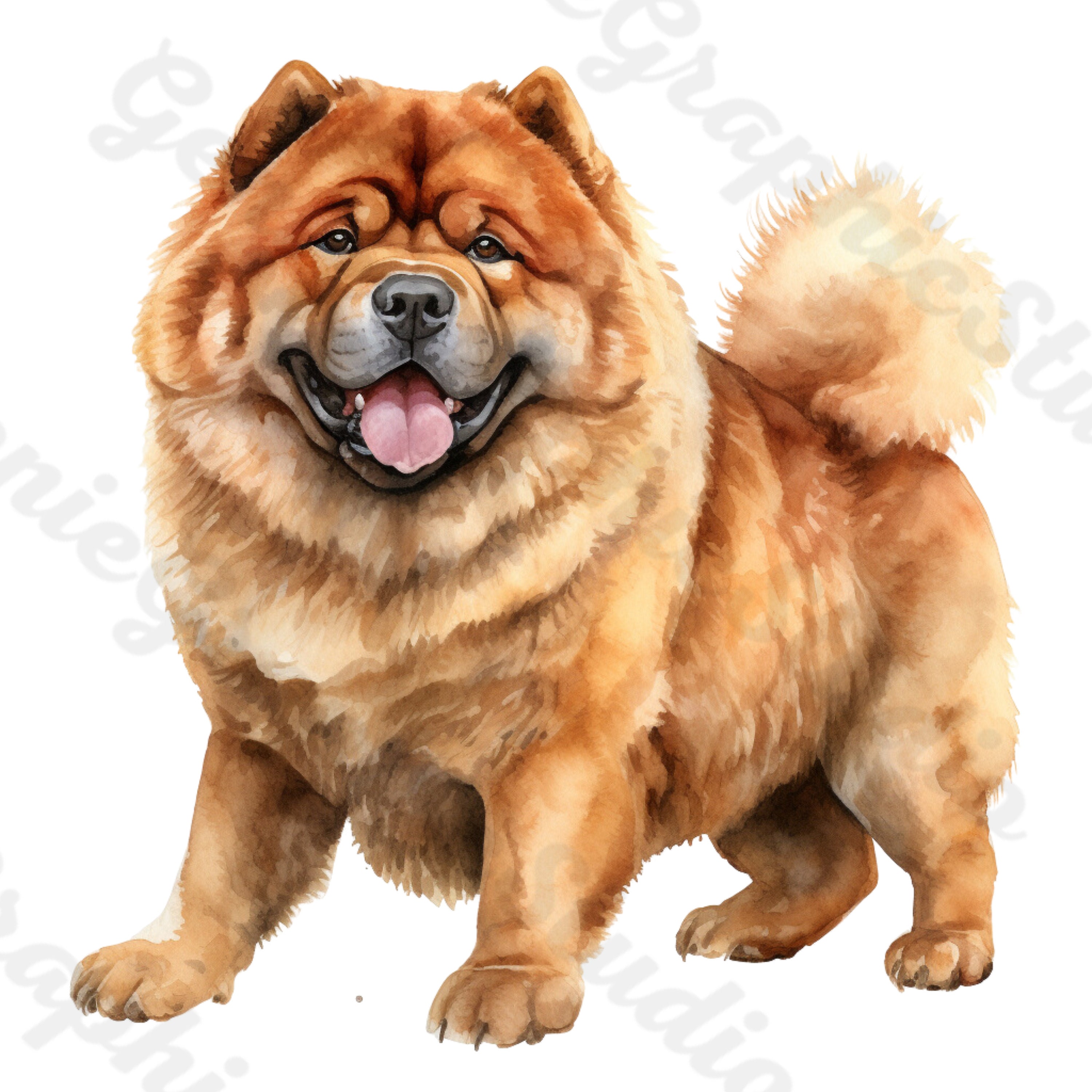 Chow Chow Png, Dog Clipart, Chow Chow Vector, Printable Dog Art for Pet ...