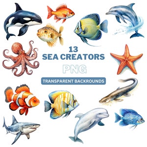 Ocean Clipart, Watercolor Sea Creatures, Dolphin PNG, Orca Whale for ...