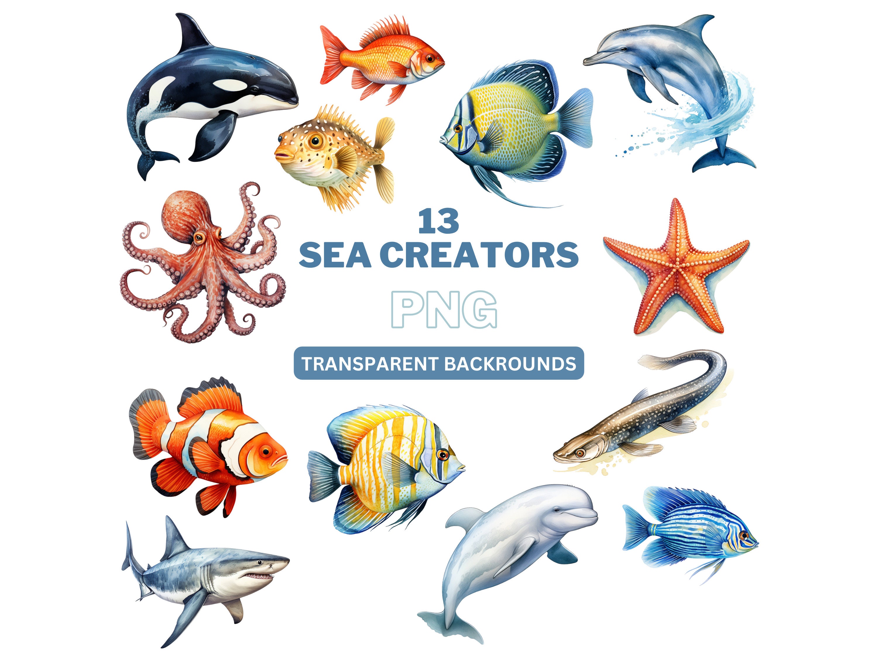 Ocean Clipart, Watercolor Sea Creatures, Dolphin PNG, Orca Whale for ...
