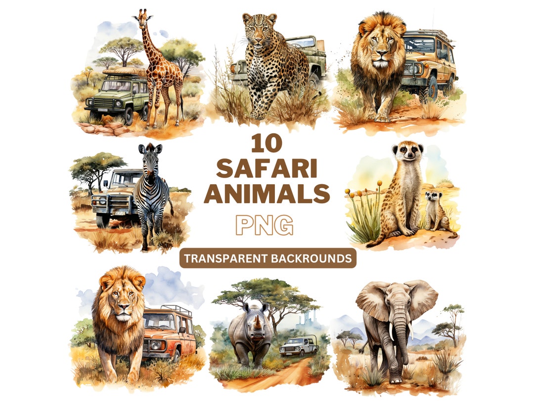 Watercolor Safari Animals Clipart: Jungle Animal PNG (digital Download ...