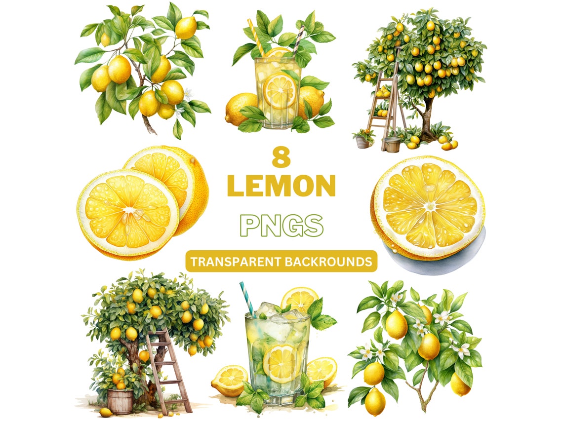 Lemon PNG Bundle Lemon Clipart, Summer Png, Spring Png, Fruit PNG ...