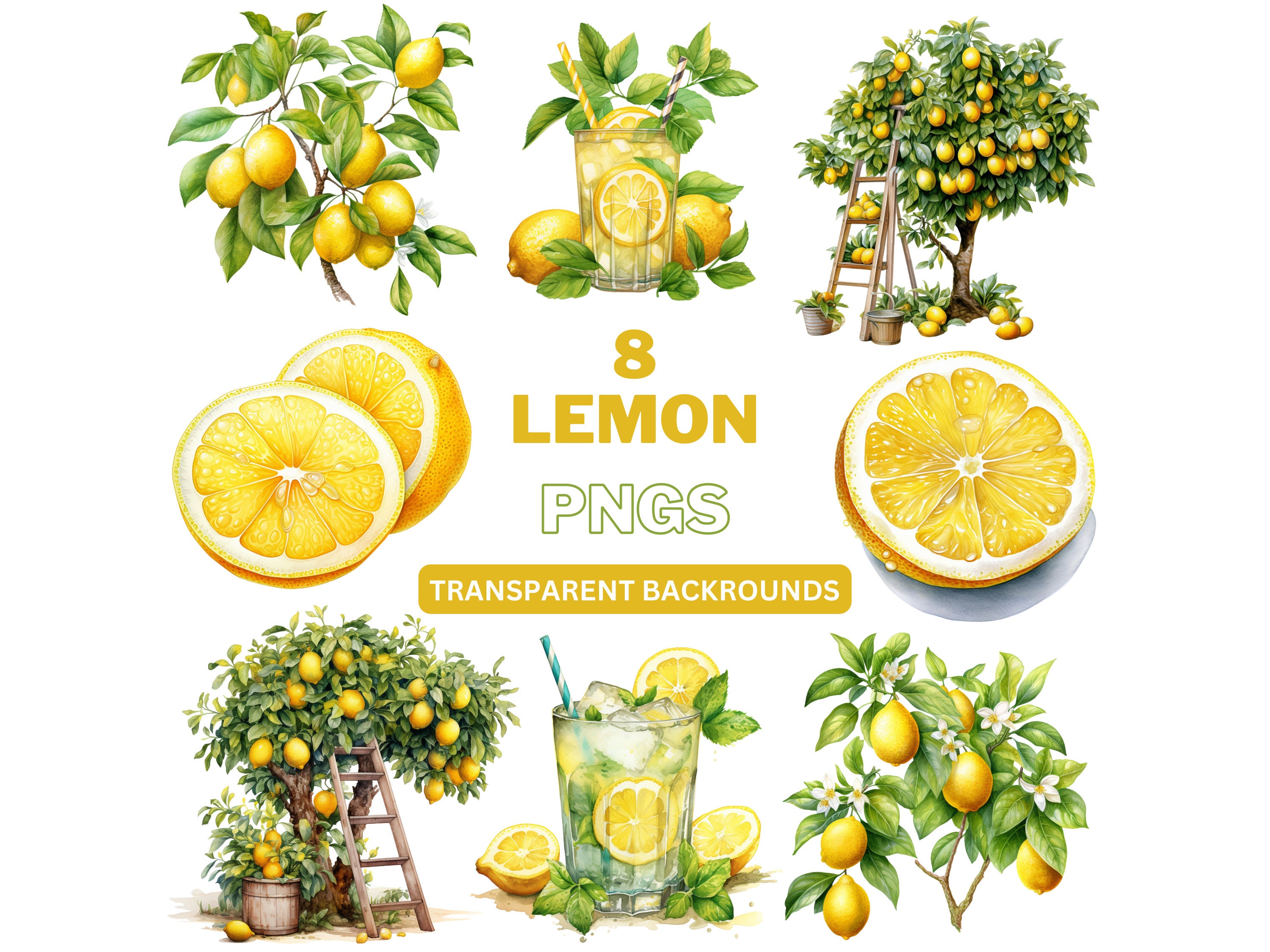 Lemon PNG Bundle - Lemon Clipart, Summer Png, Spring Png, Fruit PNG ...