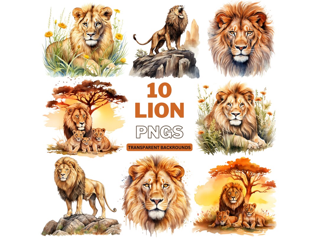 Watercolor Lion Clipart: Safari Animal PNG Bundle (digital Download) - Etsy