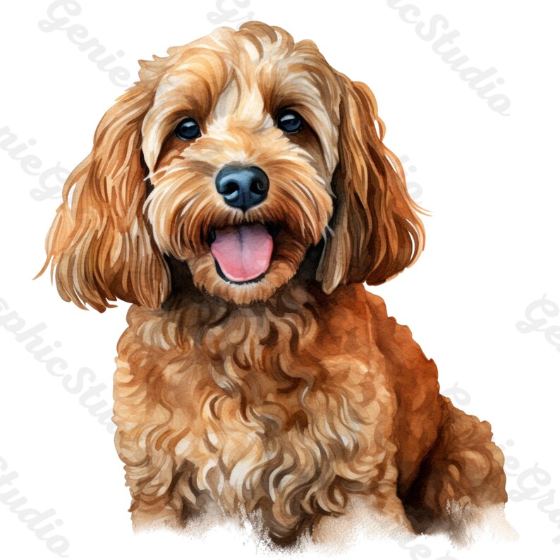 Cockapoo PNG Bundle, Dog PNG, Dog Clipart, Printable Dog Art for Pet ...