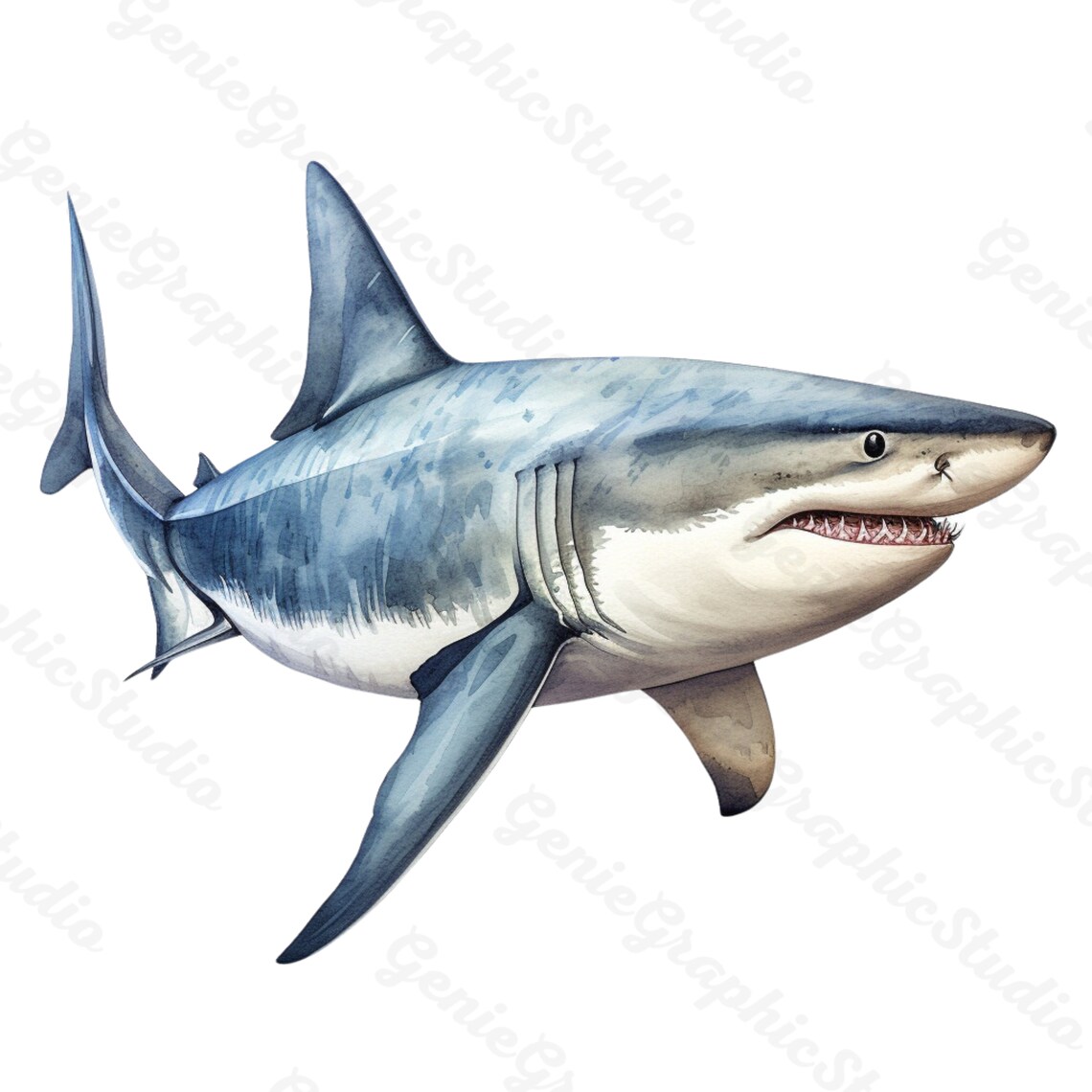 Ocean Clipart, Watercolor Sea Creatures, Dolphin PNG, Orca Whale for ...