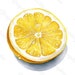 Lemon PNG Bundle Lemon Clipart, Summer Png, Spring Png, Fruit PNG ...