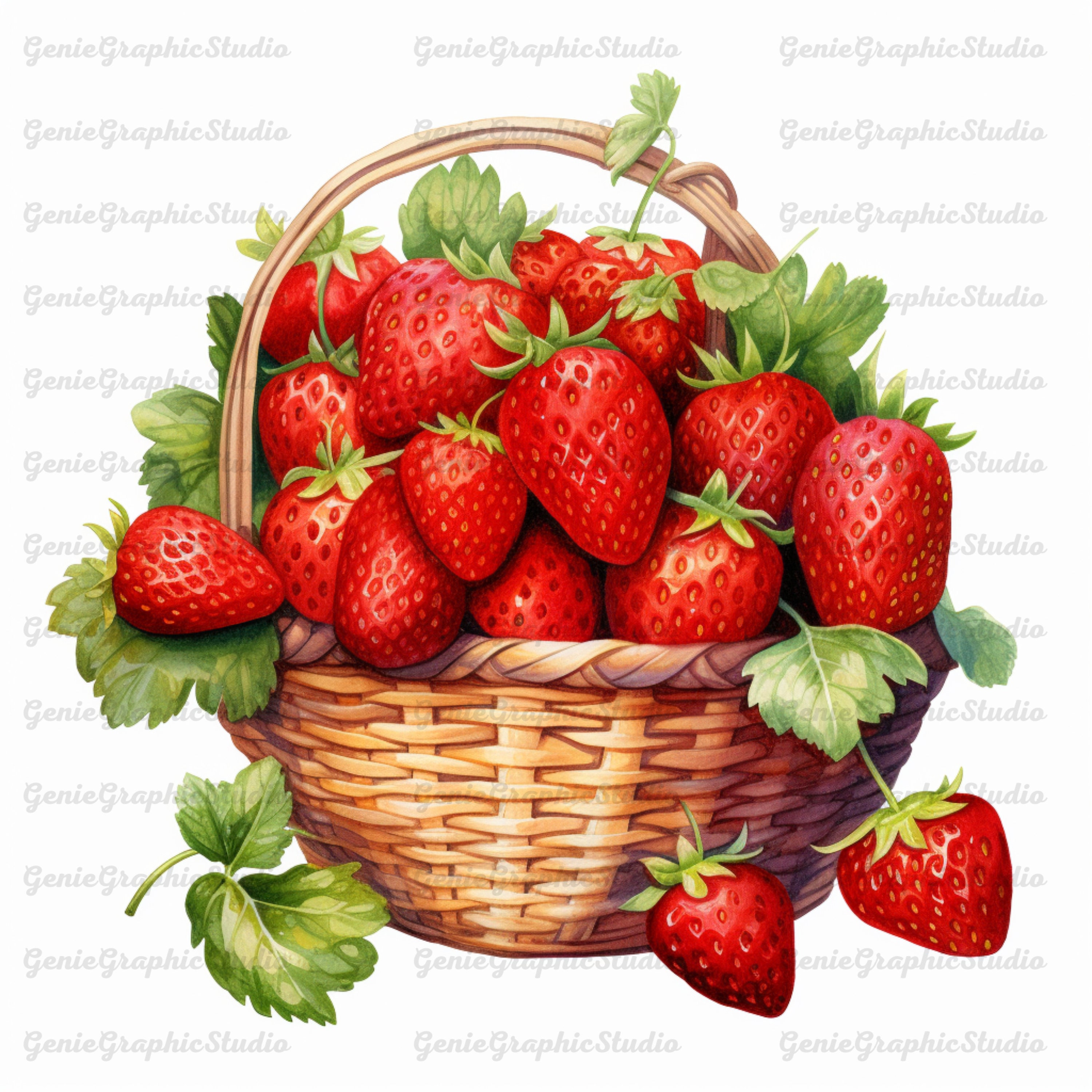 Strawberry PNG Bundle Strawberry Clipart, Summer Png, Spring Png, Fruit ...