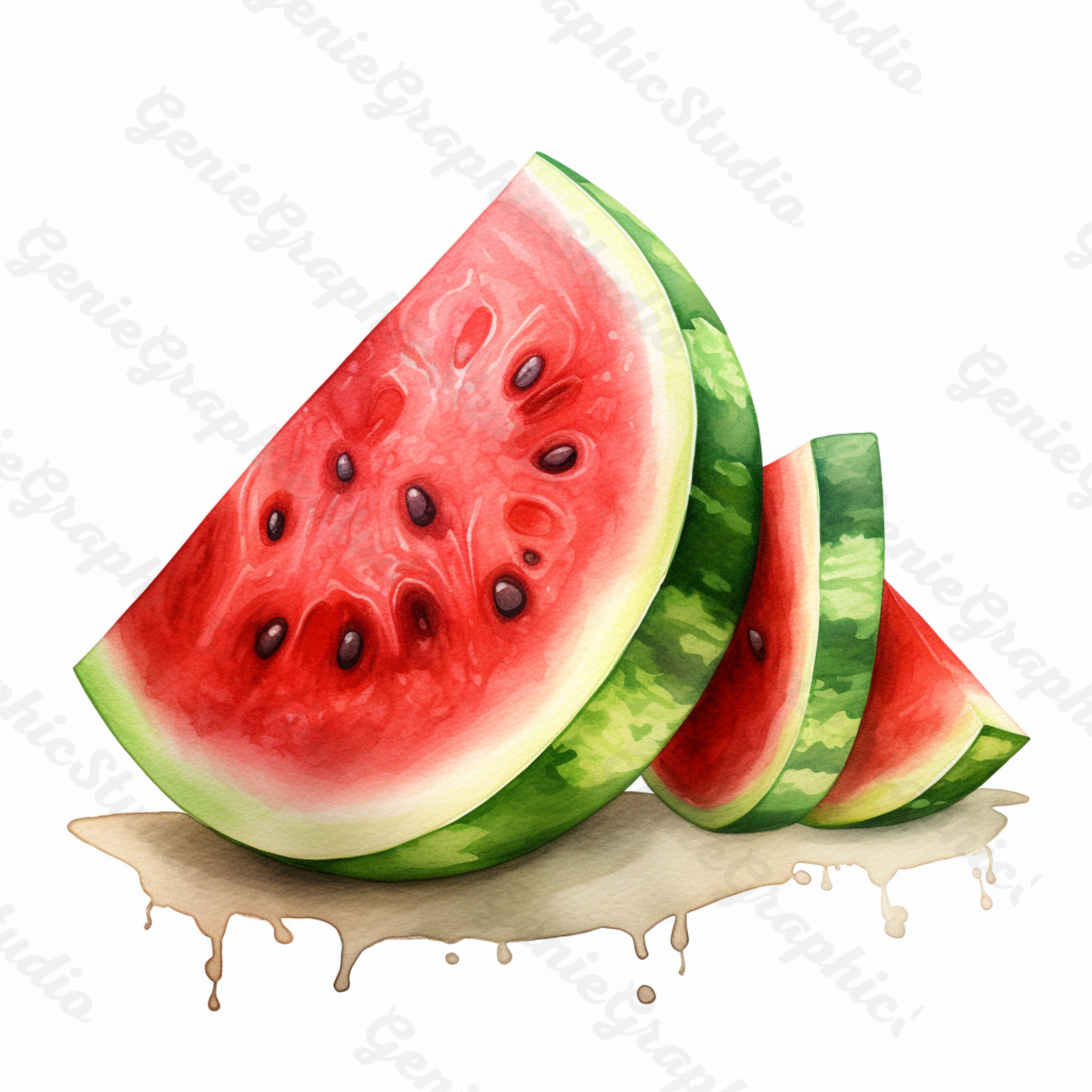 Watermelon Clipart, Fruit Clipart, Summer Clipart, Watercolour Food ...