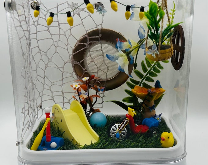 Backyard Big Wheel Jumping Spider Enclosure - Etsy