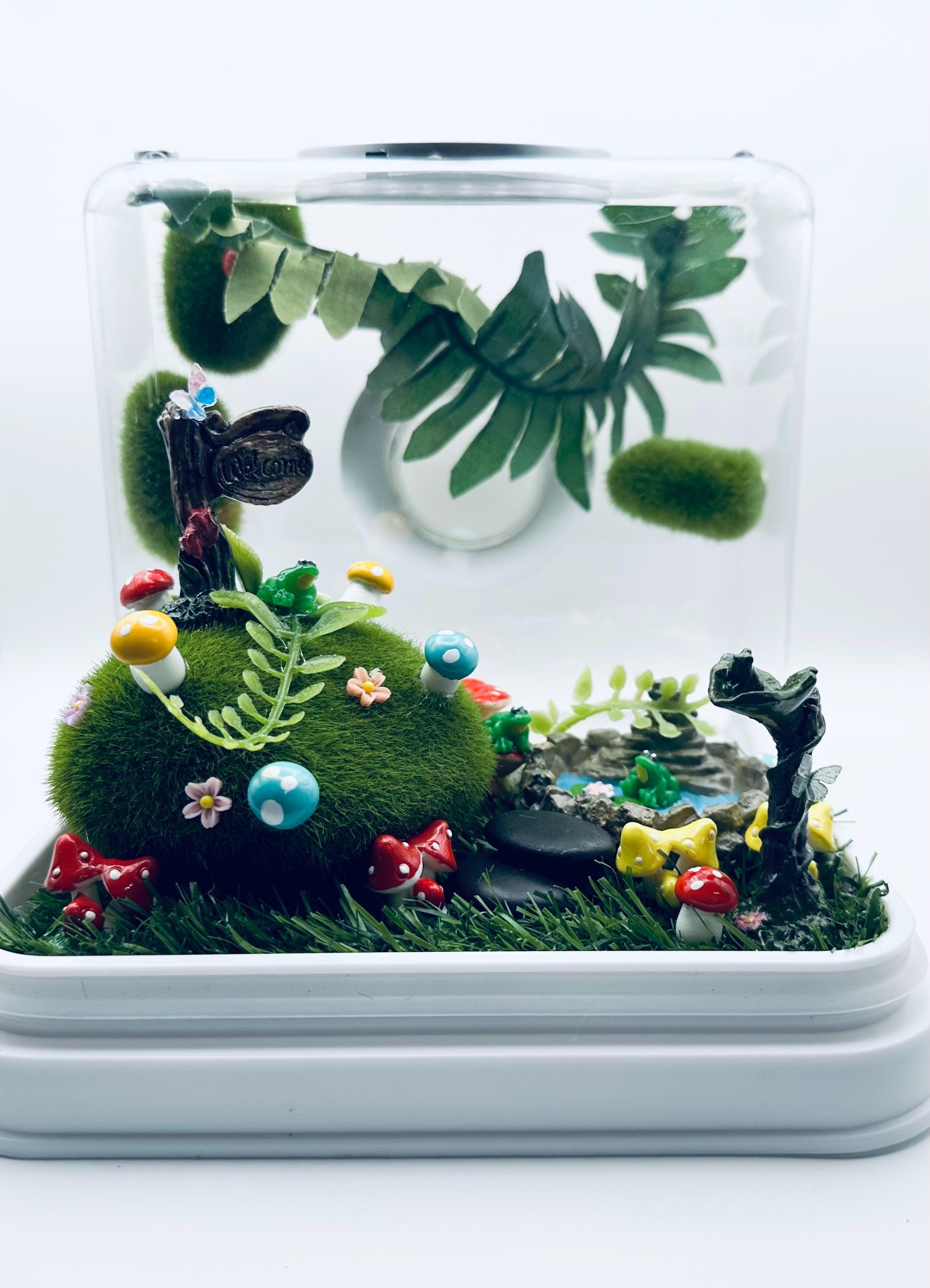 Mossy Madness Jumping Spider Enclosure - Etsy