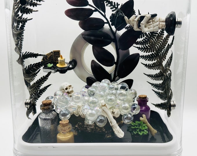 Skeleton Bubble Bath Jumping Spider Enclosure - Etsy