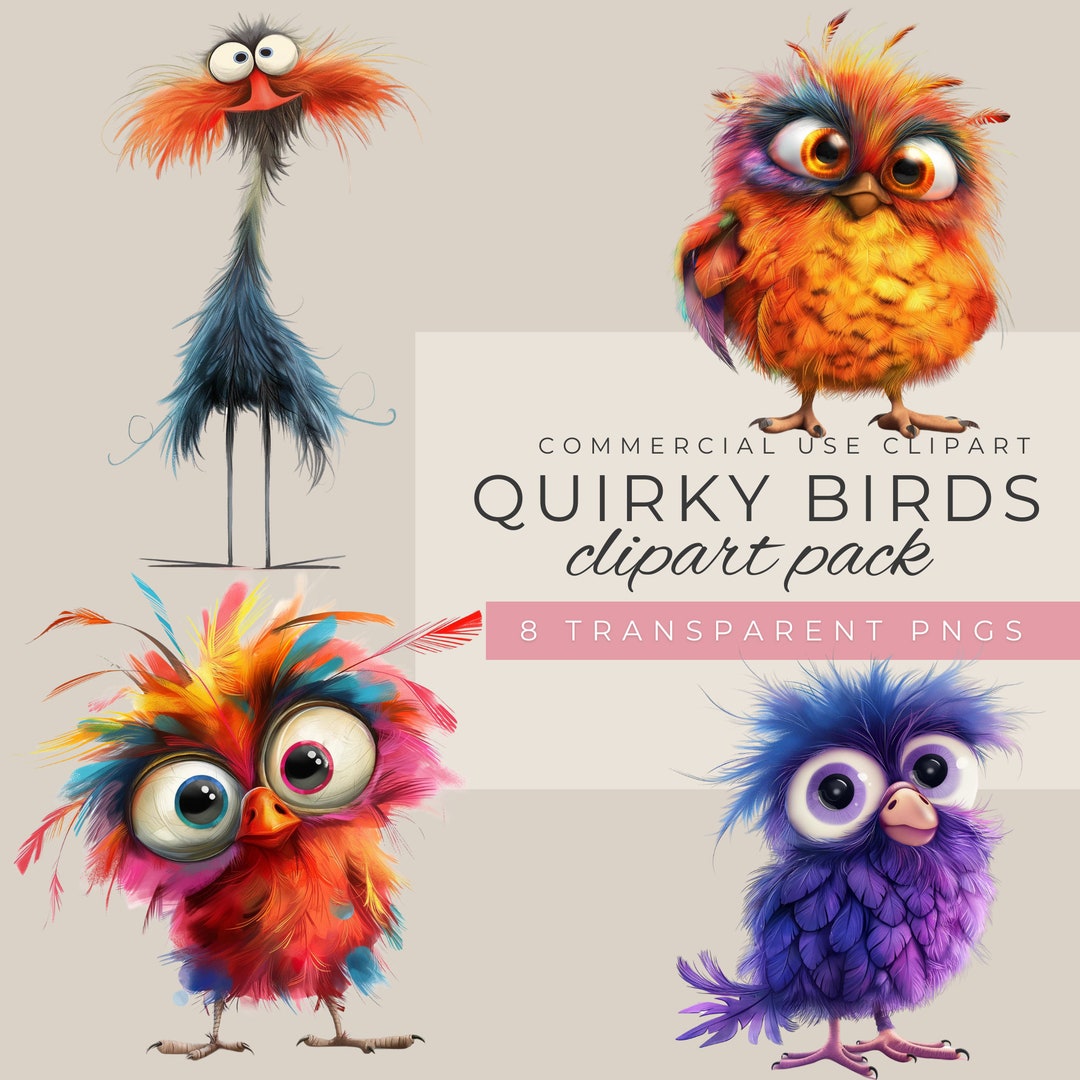 Quirky Fun Bird Clipart Bundle, Digital Download, Commercial Use ...