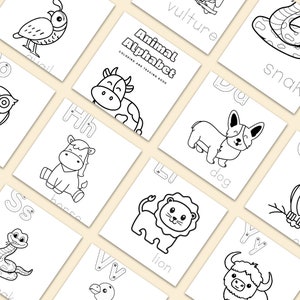 Animal and Alphabet Coloring and Tracing Book for Kids | Learning ...
