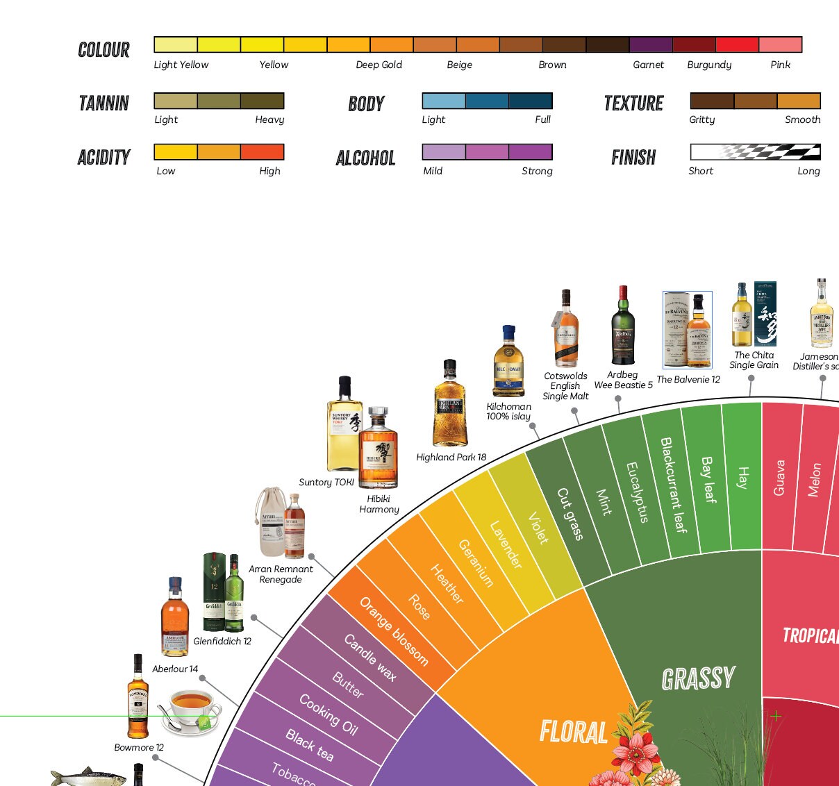 Whisky Flavour Wheel in English Only Rolled Poster - Etsy