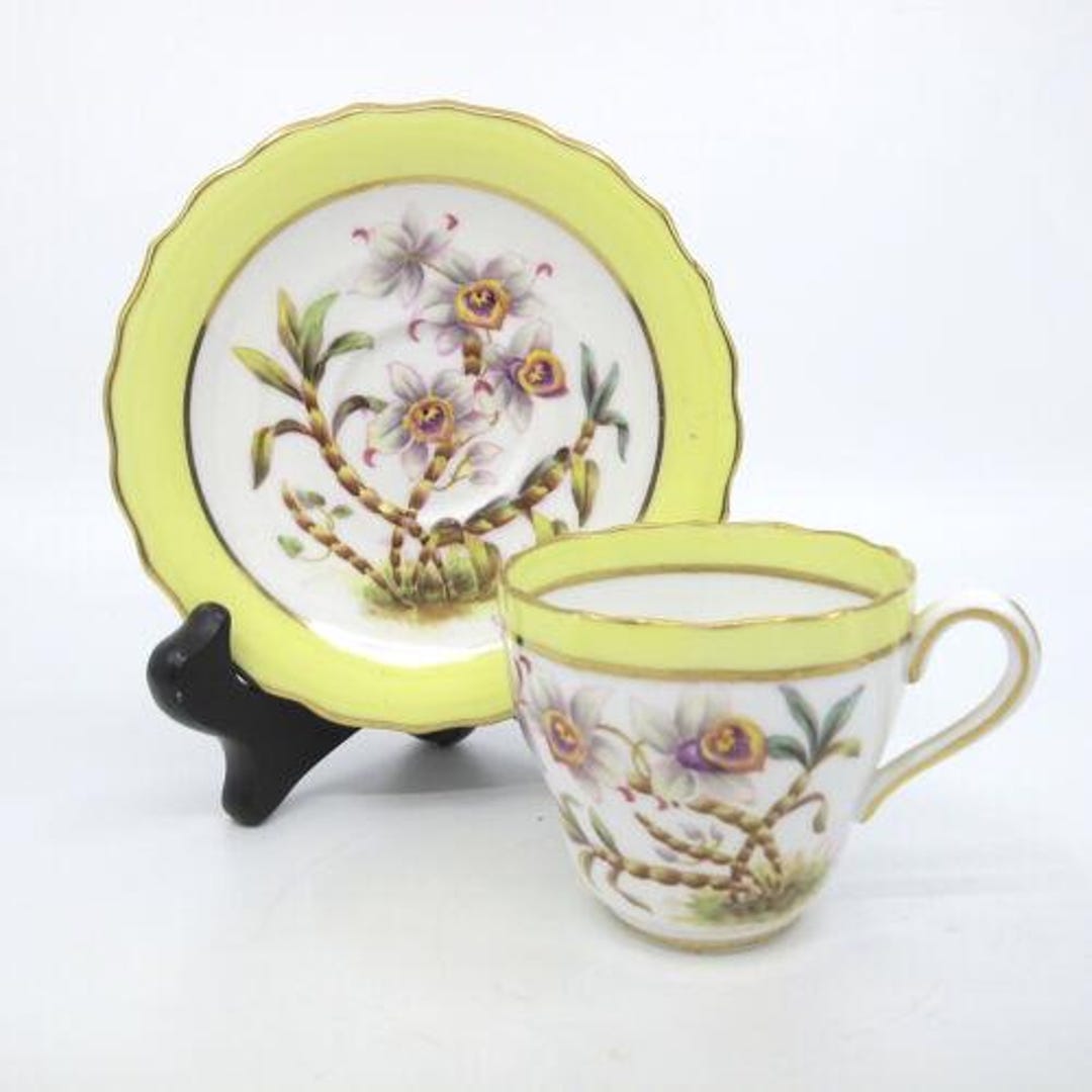 COPELAND SPODE Dendrobium Orchid Yellow Band Demitasse Cup Saucer J ...