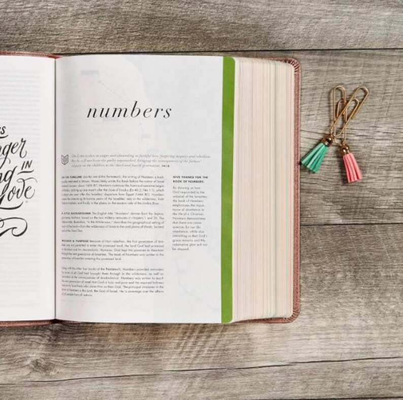 Laser Engraved CSB She Reads Truth Bible Full-color & Journaling Space ...