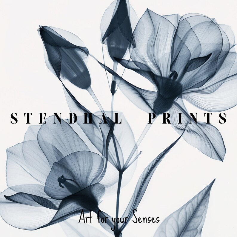 Artistic "x-ray Flora" Print | Ethereal Blue Floral X-ray Photography ...