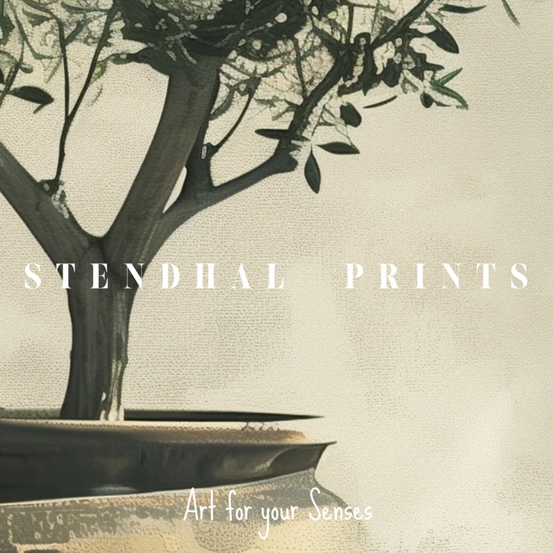 Timeless "antique Arbor" Olive Tree Illustration | Heritage Olive Pot ...