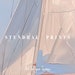 Sail Into the Dreamscape Vintage Painting | Nautical Wall Decor ...