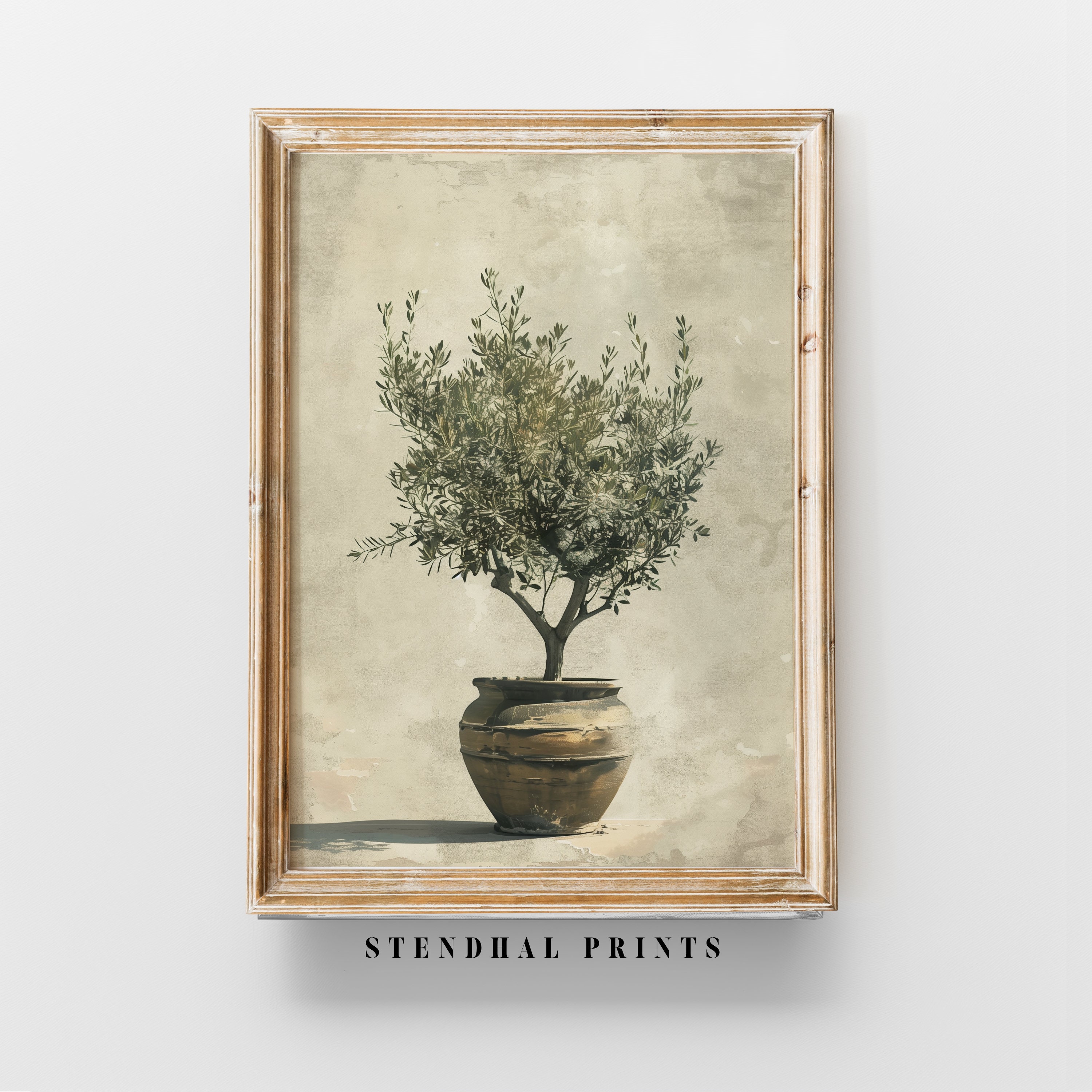 Timeless "antique Arbor" Olive Tree Illustration | Heritage Olive Pot ...