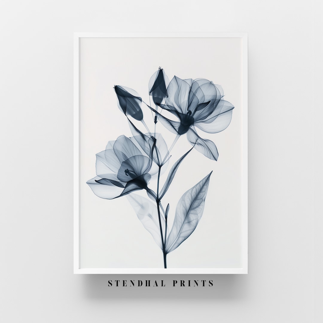 Artistic "x-ray Flora" Print | Ethereal Blue Floral X-ray Photography ...