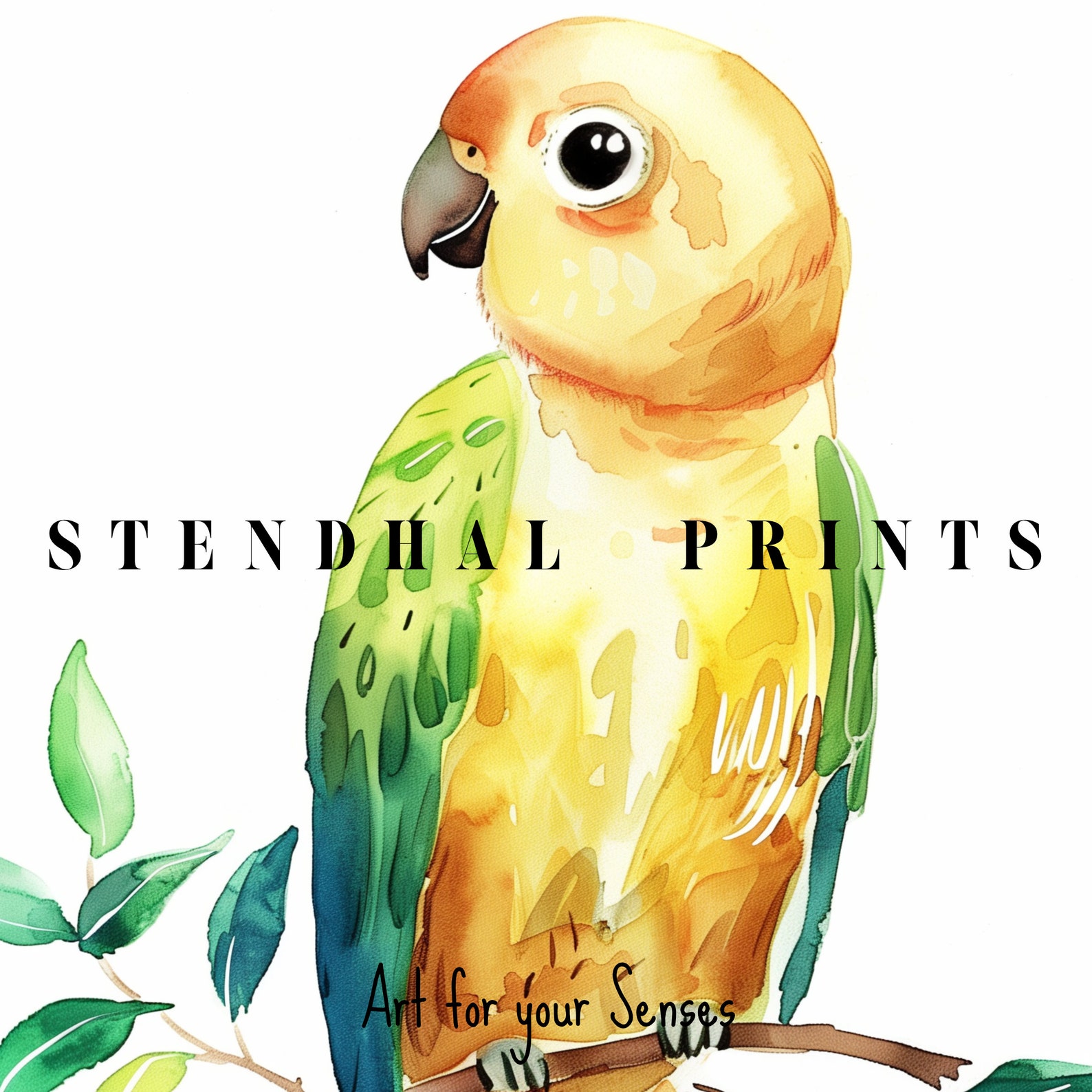Watercolor Art Print "parrot's Palette" | Vibrant Avian Watercolor ...