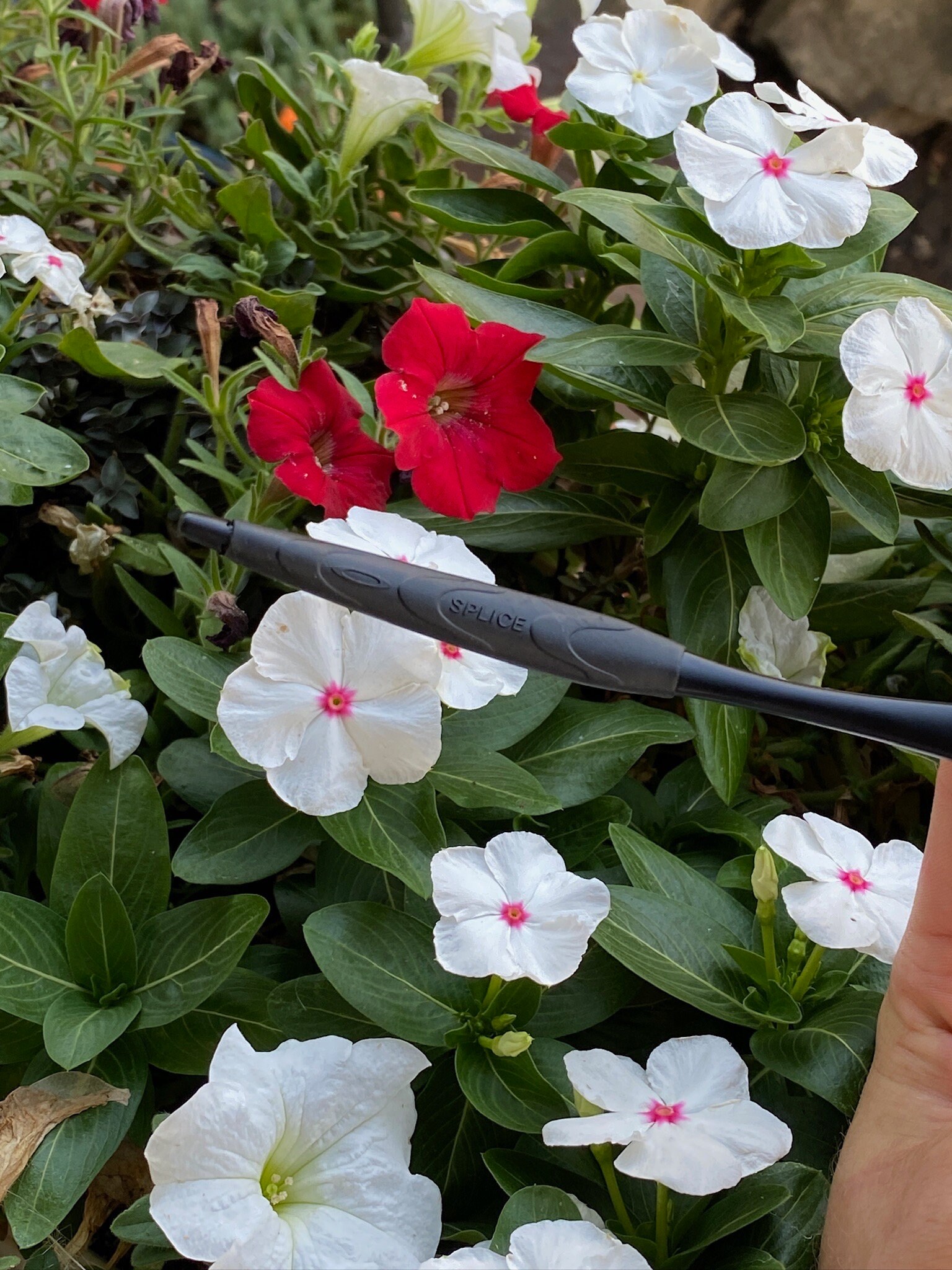 Sunglasses Oakley Splice Black - Etsy