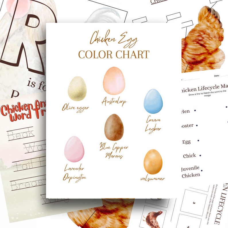 CHICKEN UNIT STUDY | Farm Life | Homeschool | Instant Downloadable Pdf ...