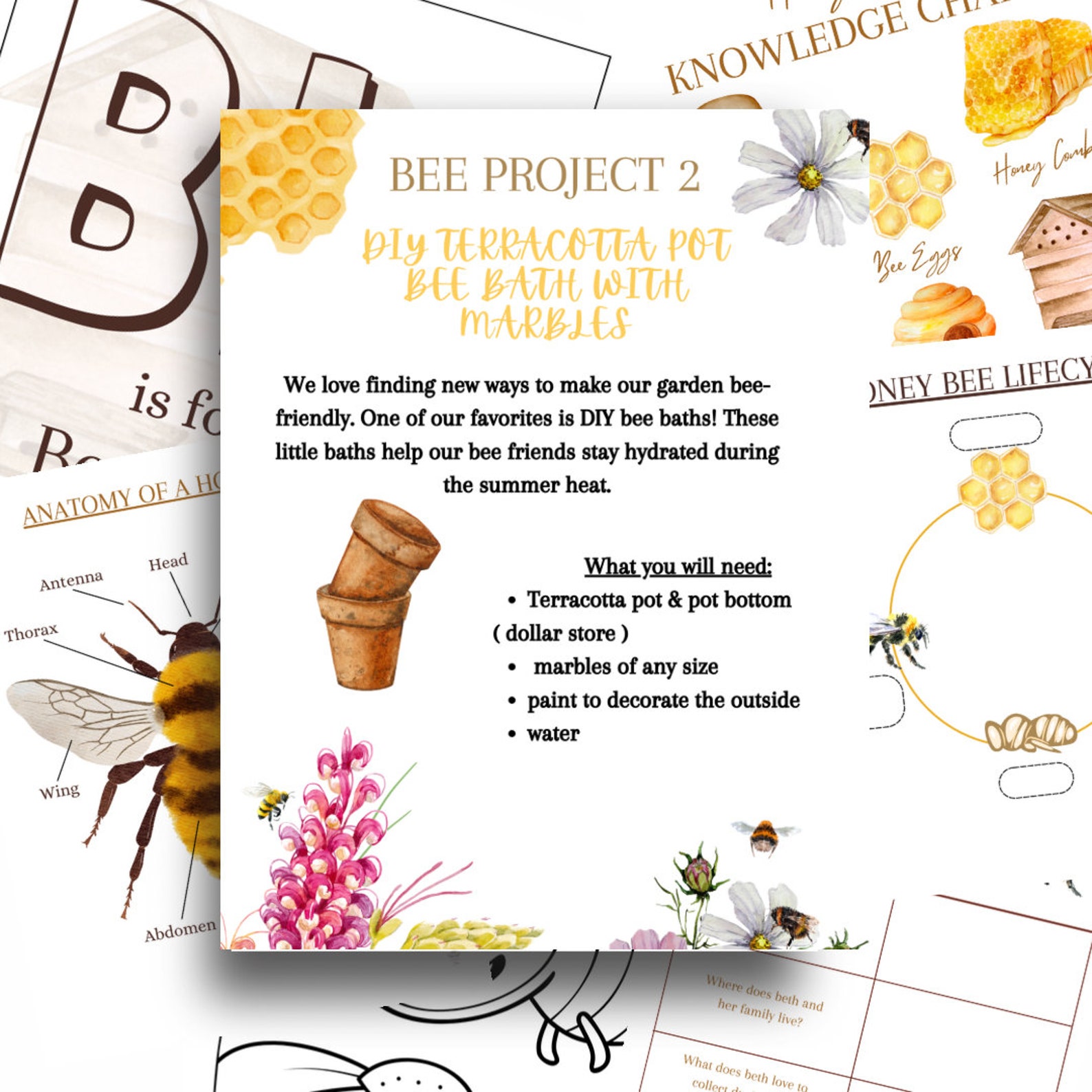 Honey Bees Unit Study | Life Cycle | Bees | Anatomy | Nature Study ...