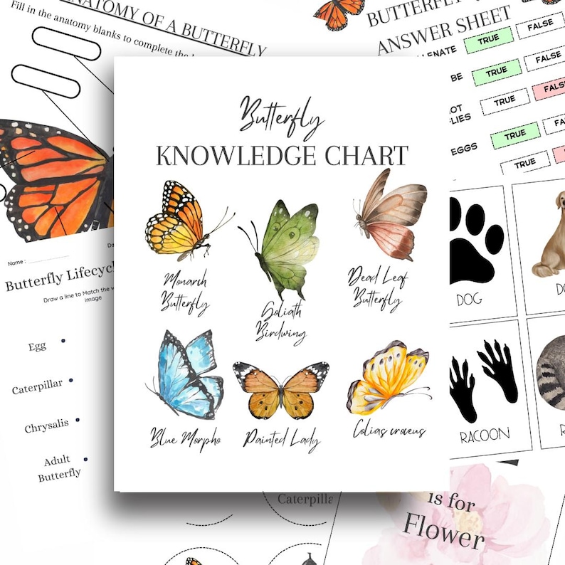 Butterfly Unit Study | Homeschooling | Nature Study | Lifecycle ...