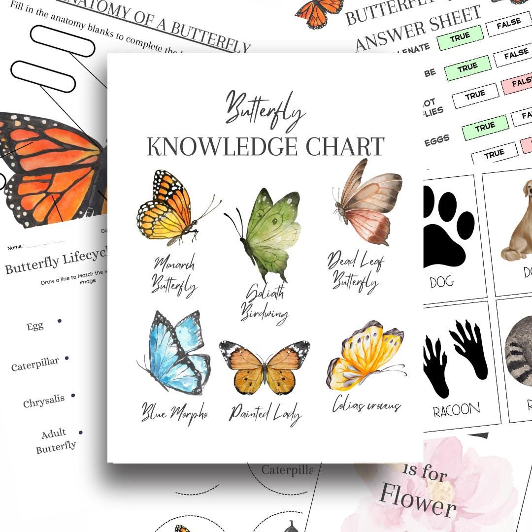 Butterfly Unit Study | Homeschooling | Nature Study | Lifecycle ...