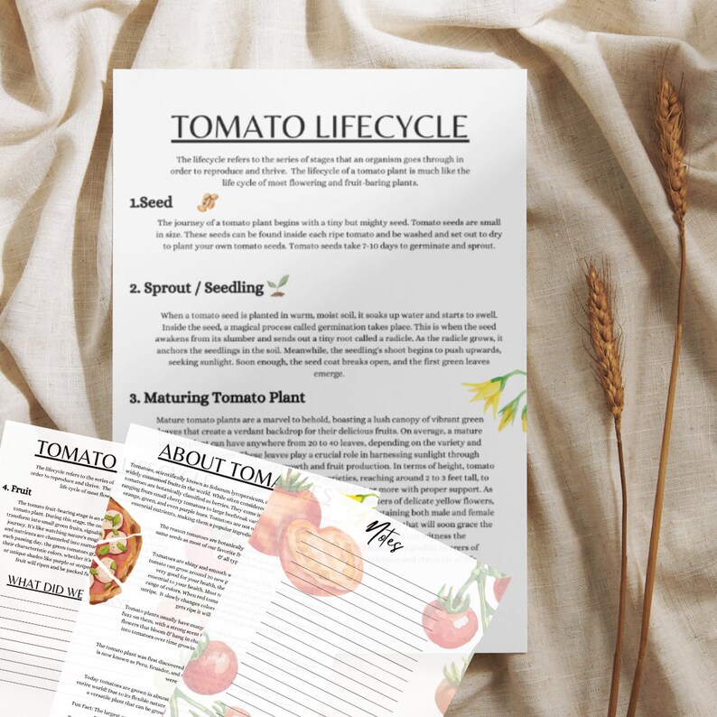 TOMATO Unit Study | Life Cycle | Anatomy | Nature Study | Science ...