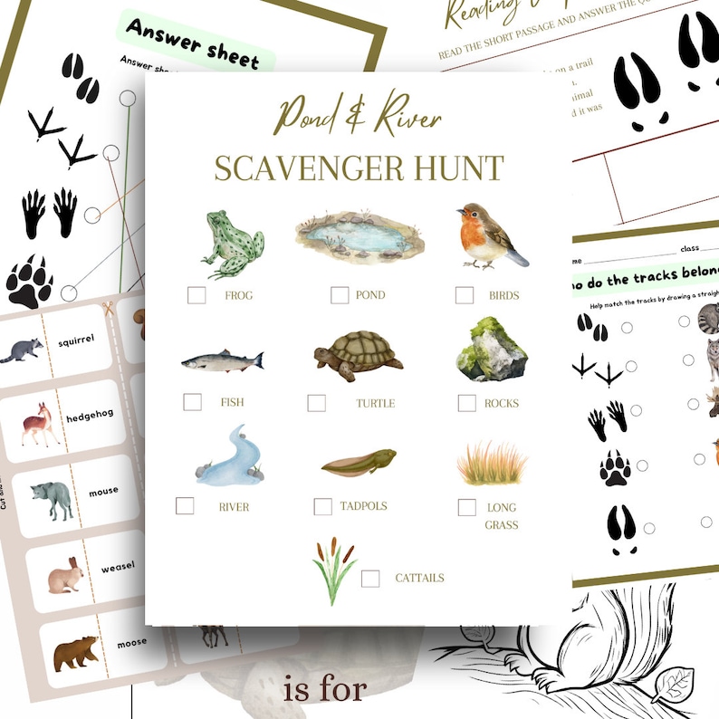 Forest Animal & Animal Tracks Unit Study | Educational | Homeschool ...