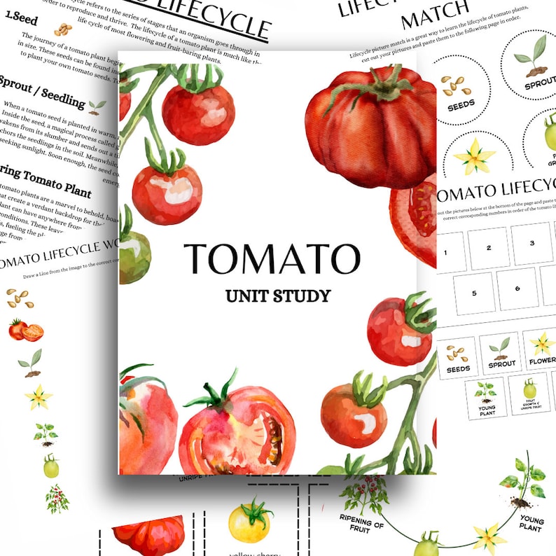 TOMATO Unit Study | Life Cycle | Anatomy | Nature Study | Science ...