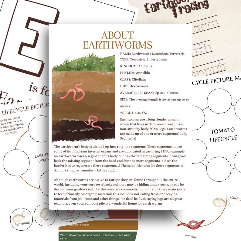 Earthworm Unit Study | Nature Study | Homeschool | Education ...