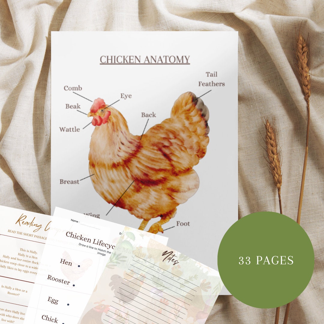 CHICKEN UNIT STUDY Farm Life Homeschool Instant Downloadable Pdf ...