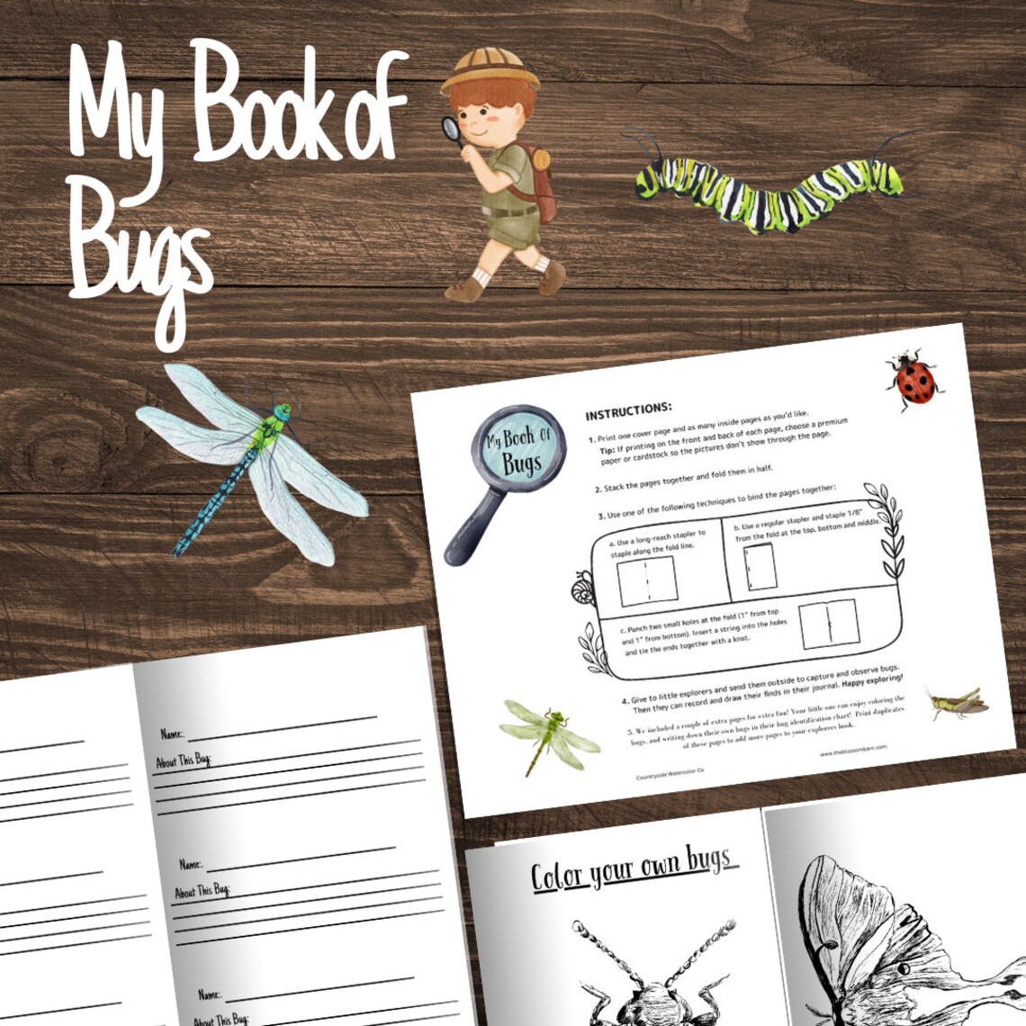 My Book of Bugs Printable PDF Education & Exploring Homeschooling ...