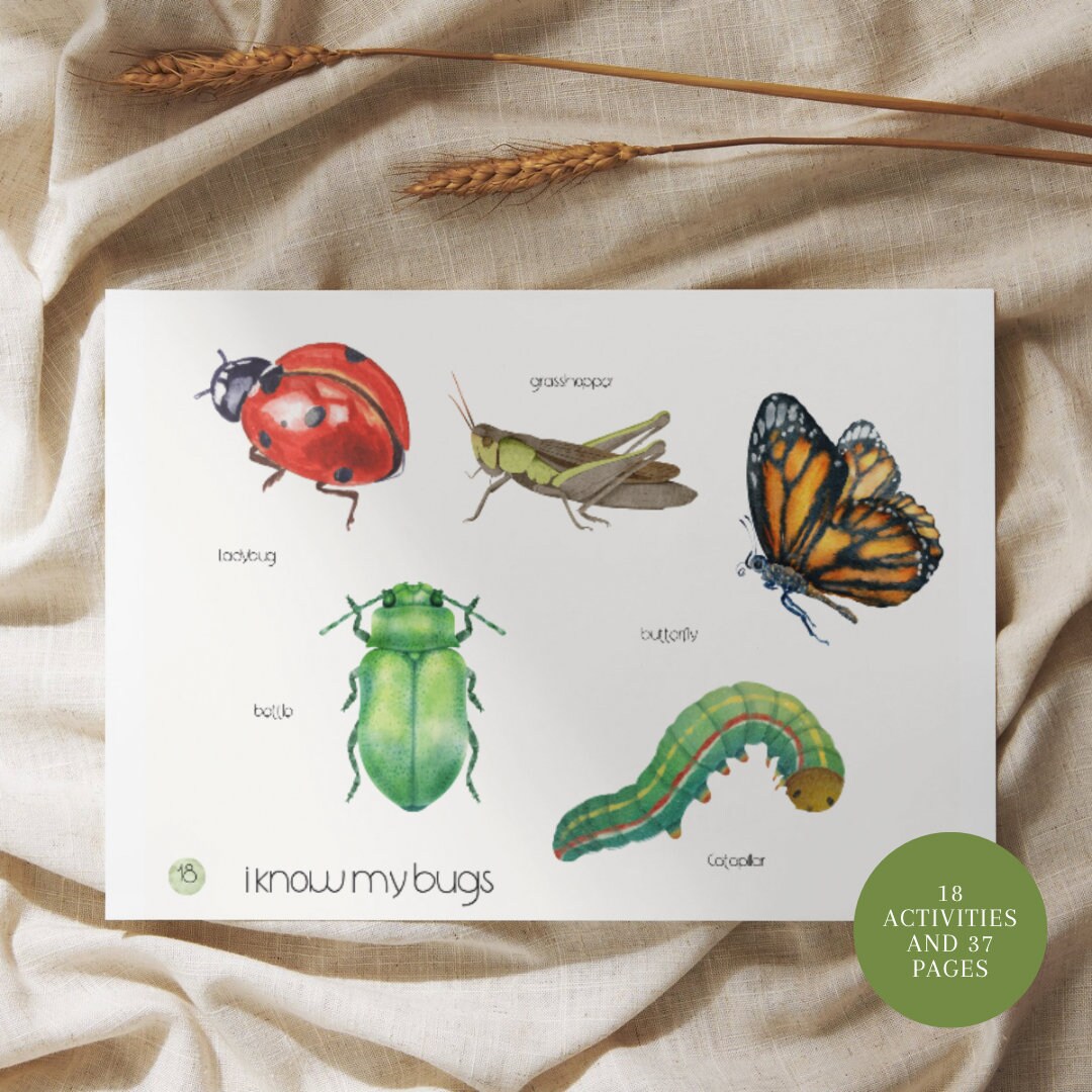 My Garden Busy Book Busy Book Homeschooling Spring Busy Book Toddler ...