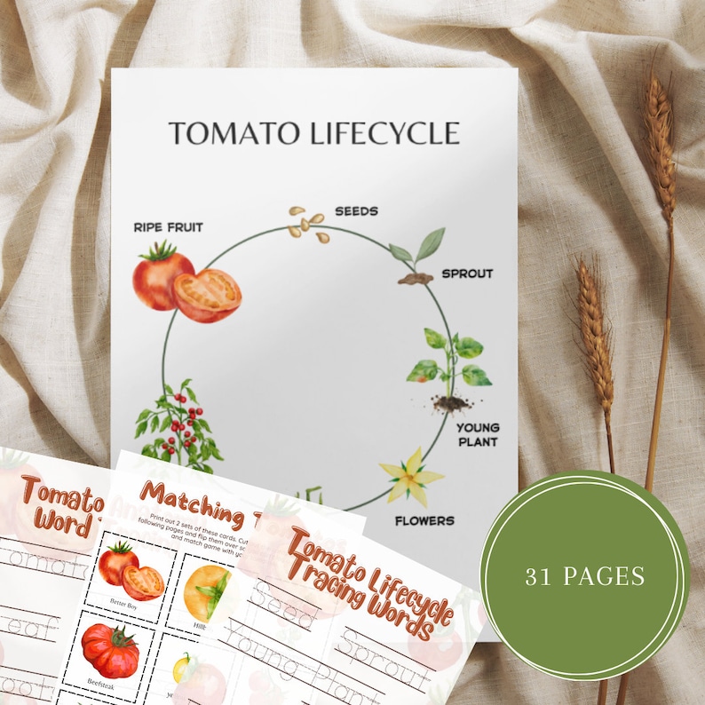 TOMATO Unit Study | Life Cycle | Anatomy | Nature Study | Science ...