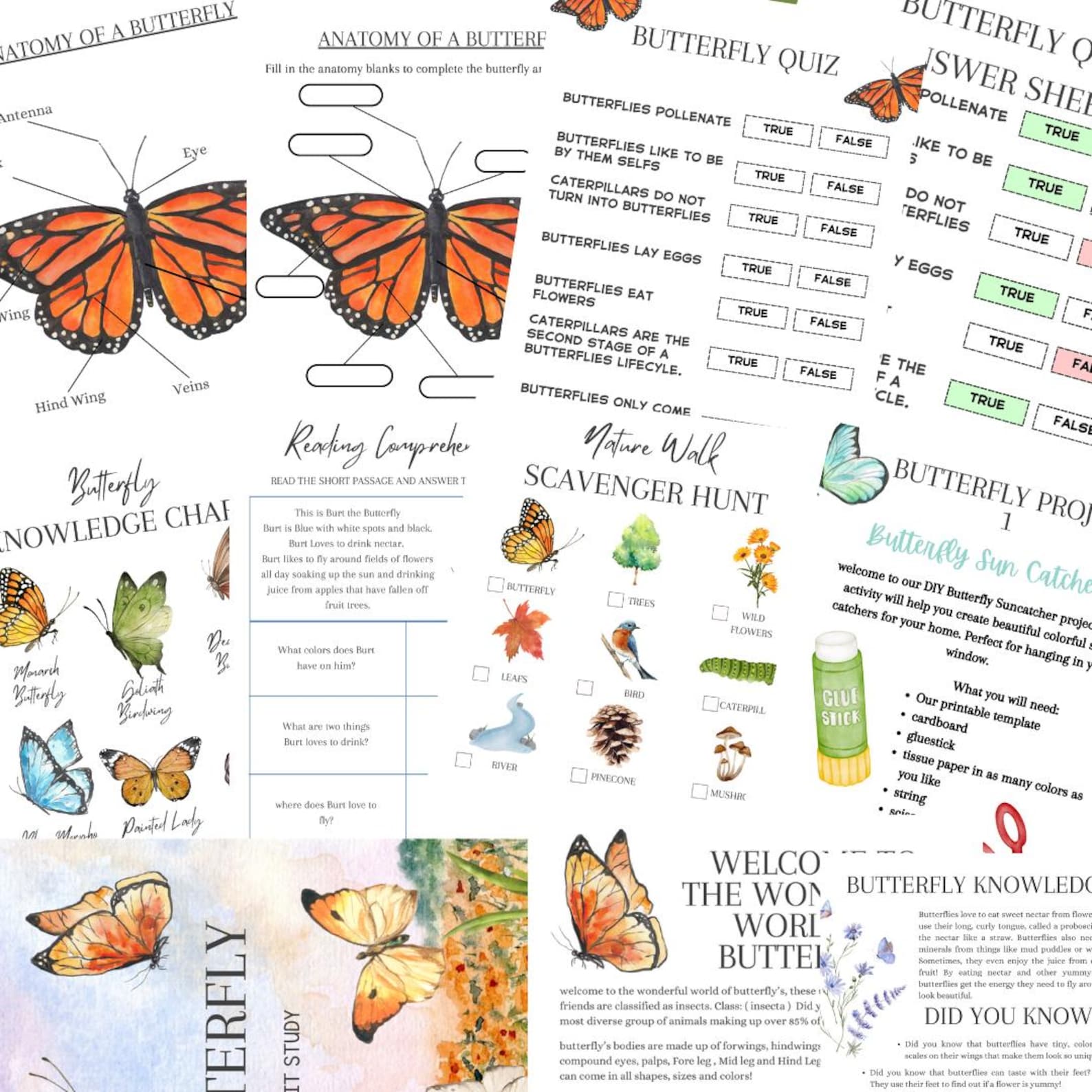 Butterfly Unit Study | Homeschooling | Nature Study | Lifecycle ...